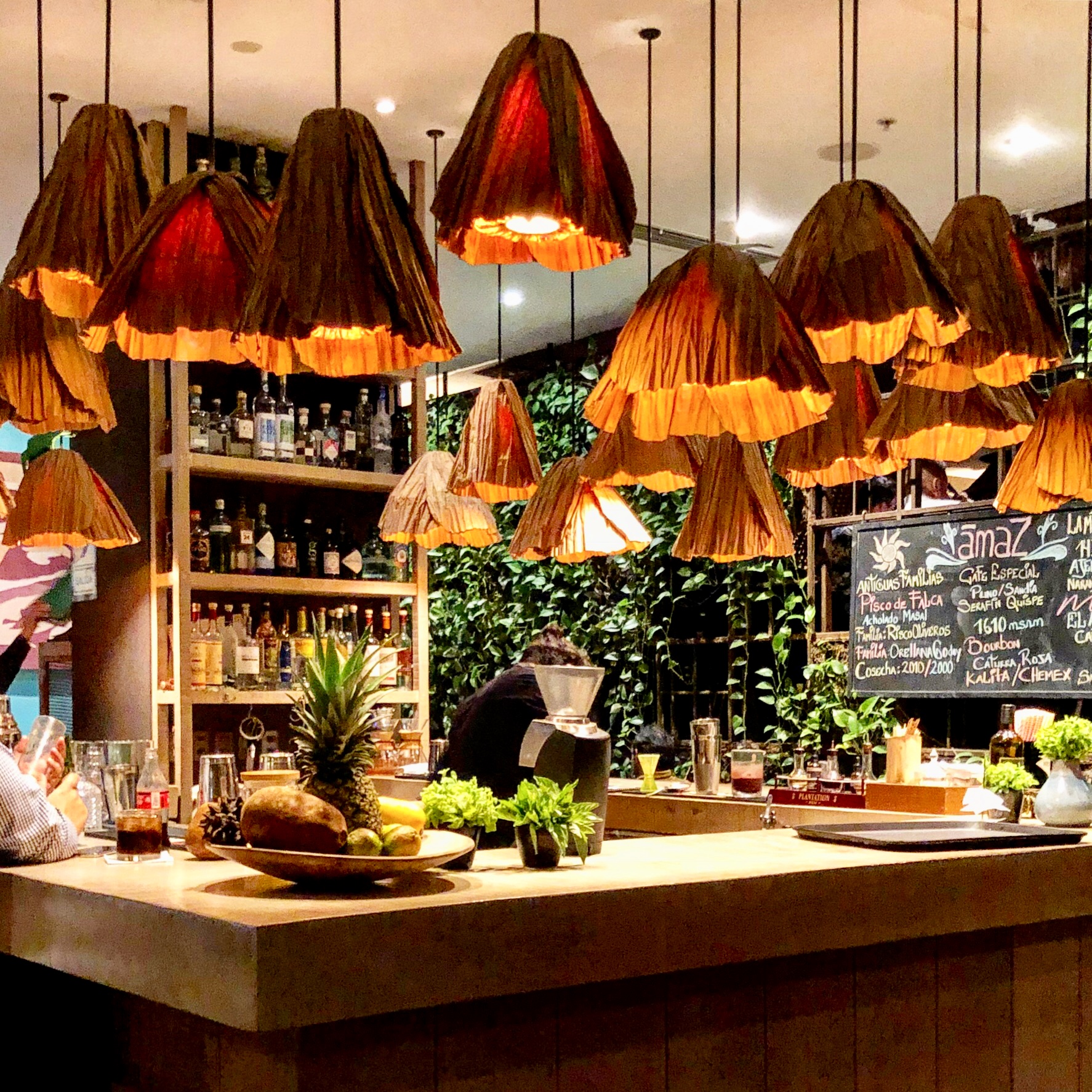 Peruvian Delights – where's gary